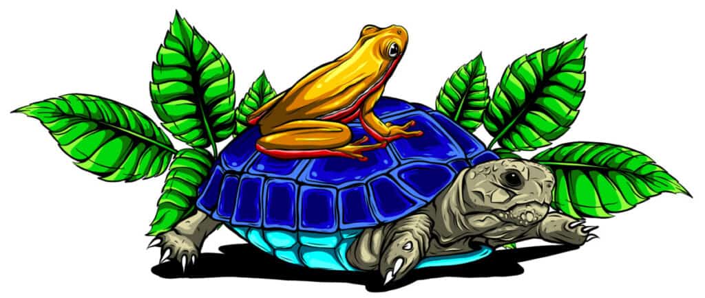 Can Frogs and Turtles Live Together? (Full Guide) – Reptiles Time